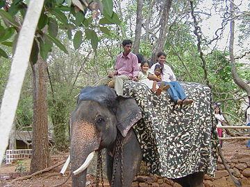Information on Bondla wildlife sanctuary of Goa