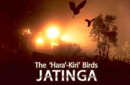 Famous Jatinga Village of Assam