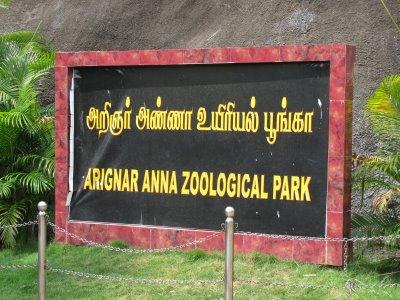 Arignar Anna Zoological Park details timings & entry fee How to reach ...